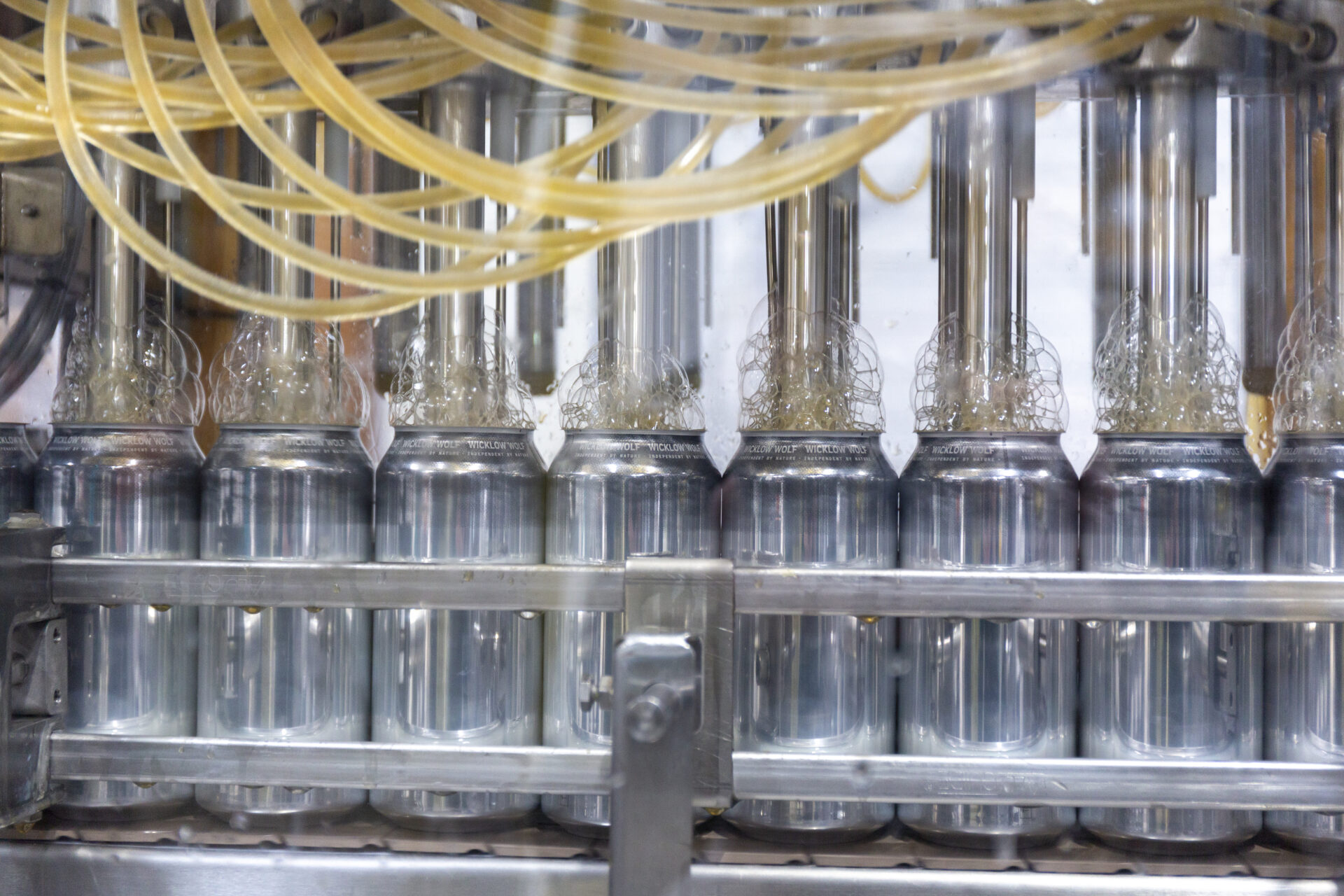 New Release: Canis Rufus - Wicklow Wolf