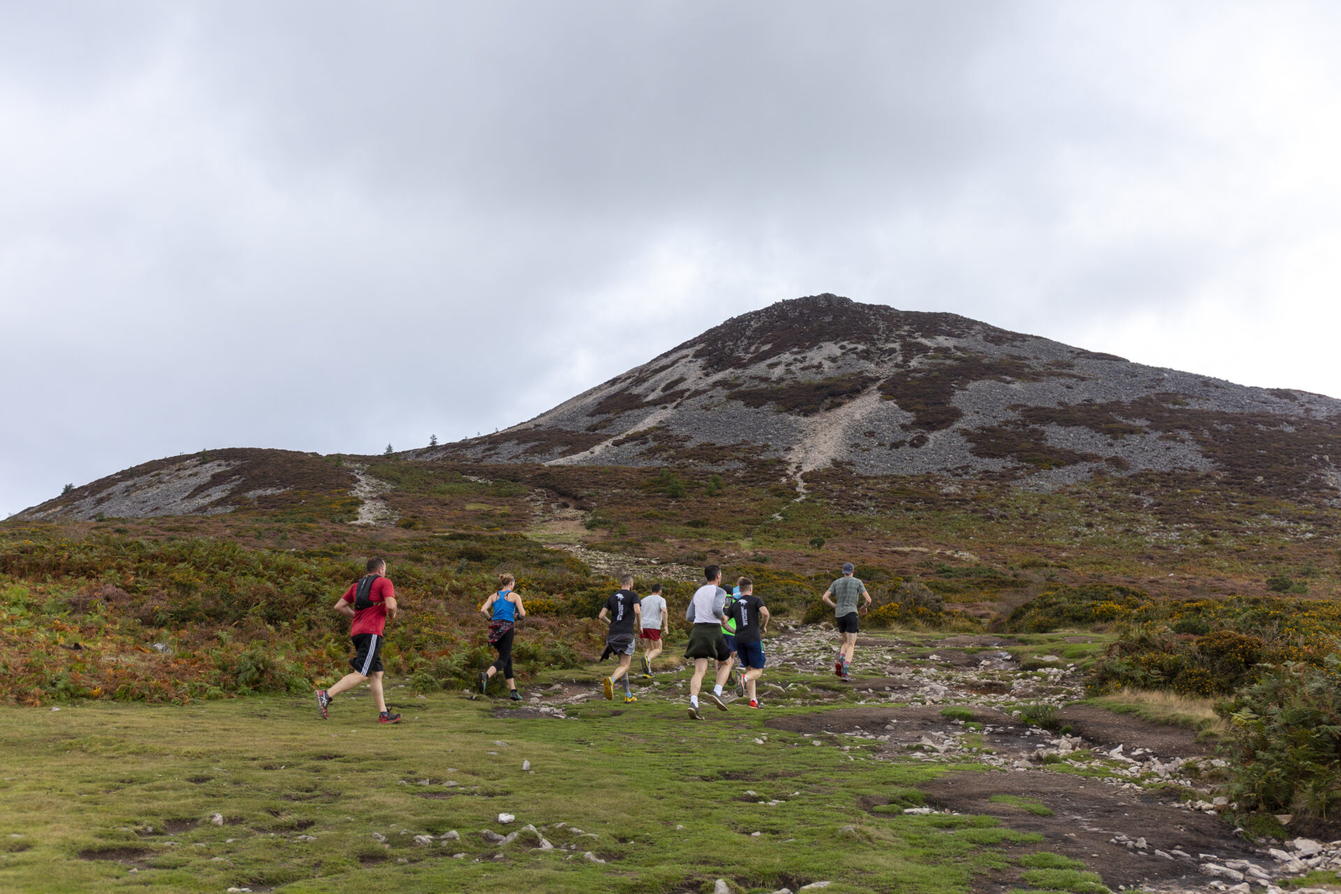 Wicklow Wolf Running Club - Wicklow Wolf