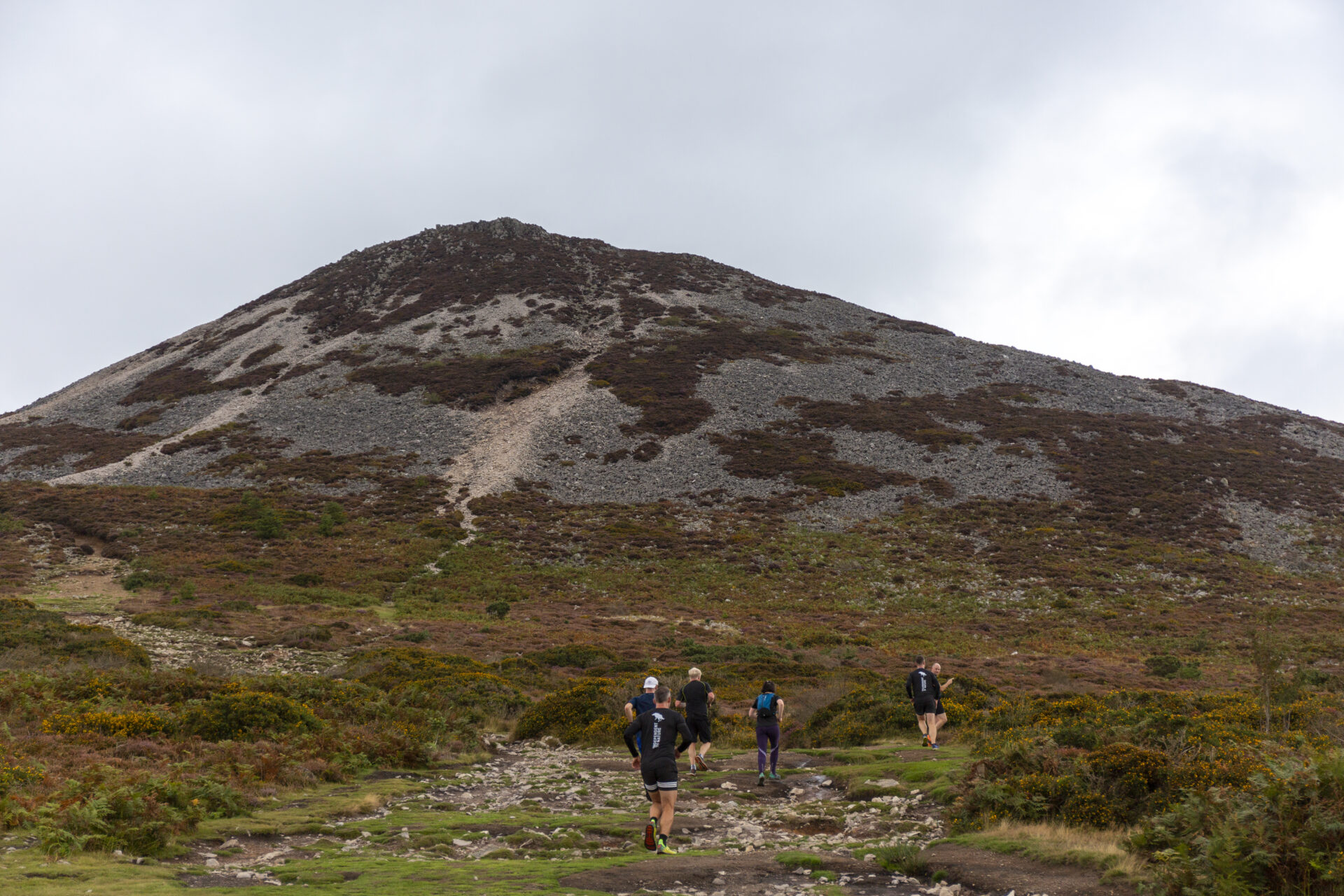 Wicklow Wolf Running Club - Wicklow Wolf