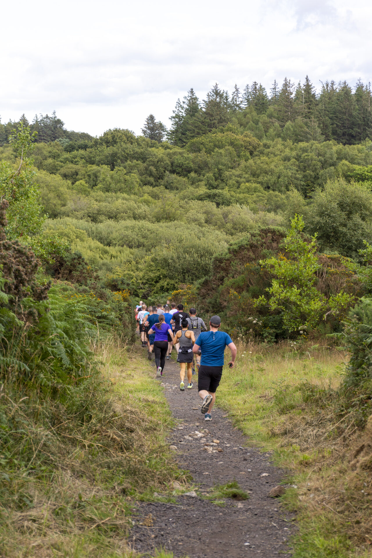 Wicklow Wolf Running Club - Wicklow Wolf